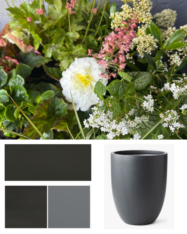 STOOPS - Welcome Home Package – STOOPS Design Vancouver