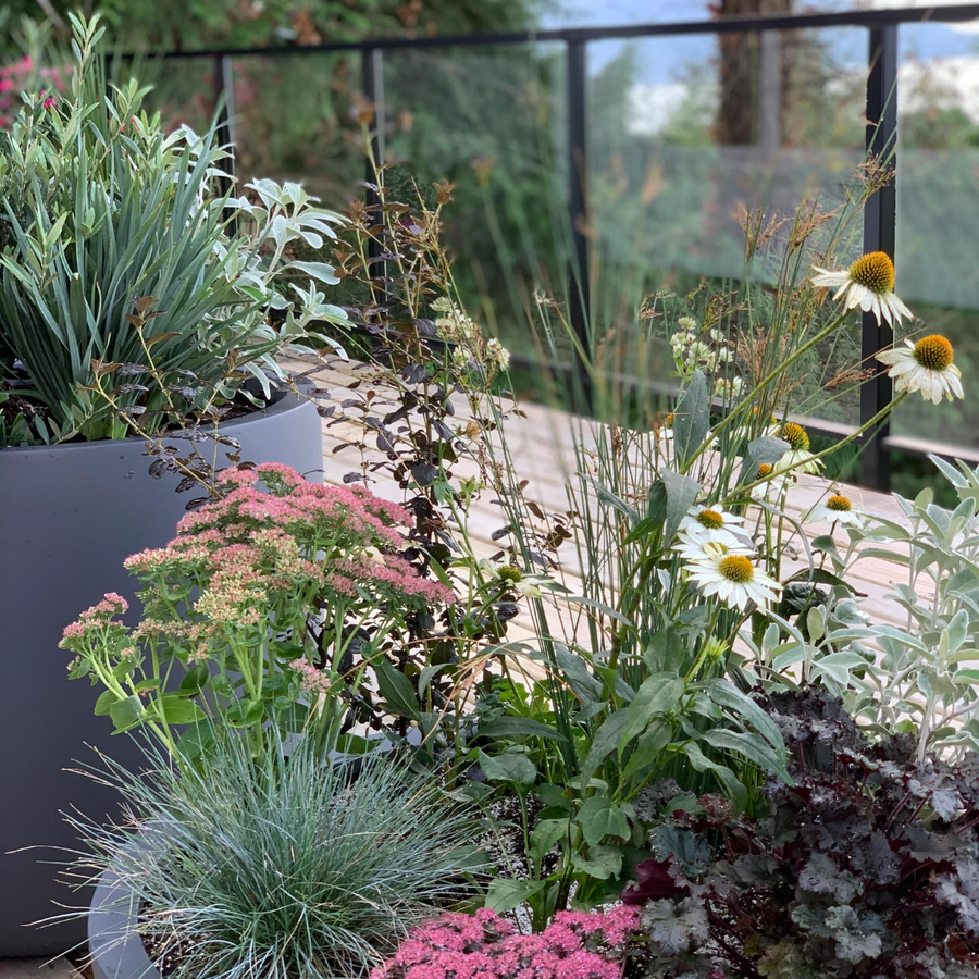 CUSTOM PLANTING – STOOPS Design Vancouver