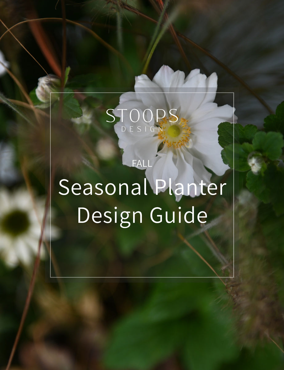 STOOPS Planter Design Guide - FALL – STOOPS Design Vancouver