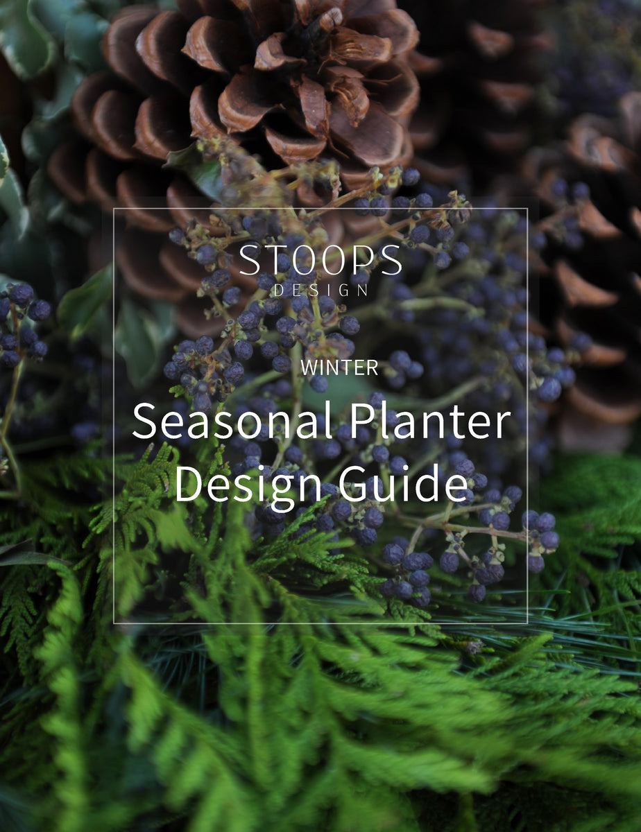 STOOPS Planter Design Guide - WINTER – STOOPS Design Vancouver
